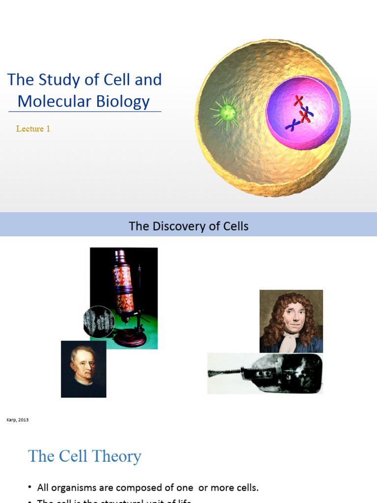 Lecture 1 Intro Properties of Cell | PDF | Cell (Biology) | Organisms