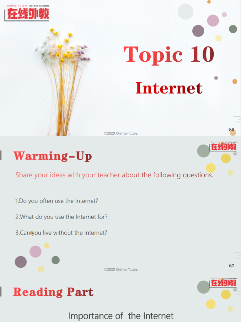 Topic 10 Internet | PDF