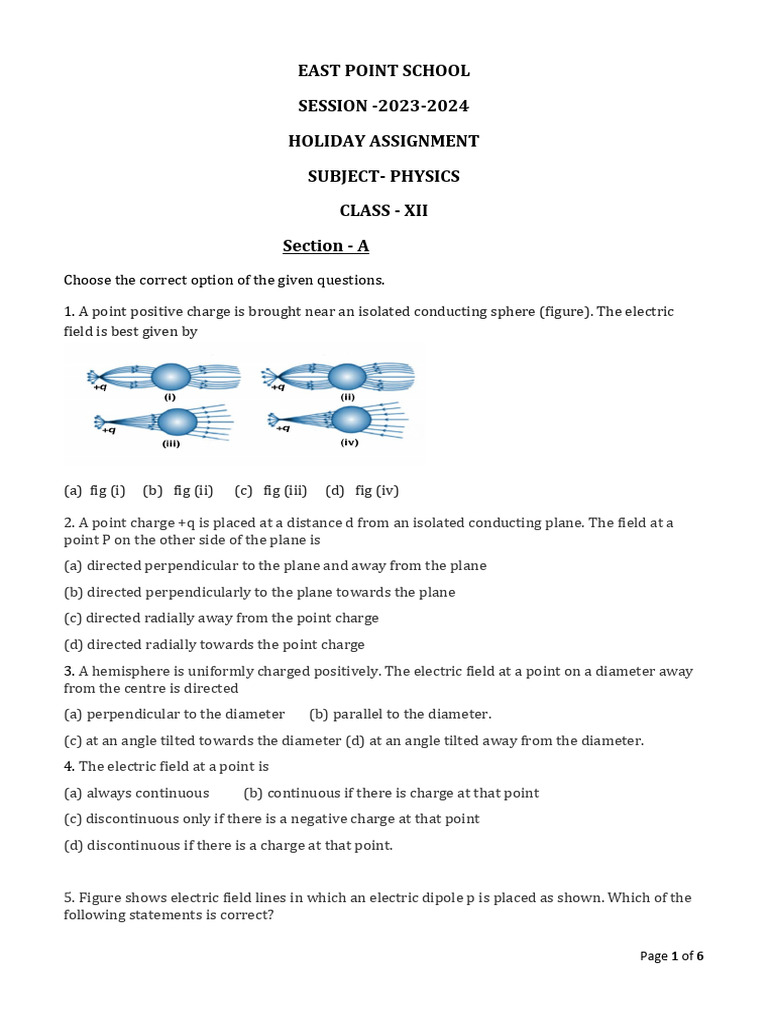 BIPLAB Assignment CLASS XII | PDF | Electric Charge | Electric Field