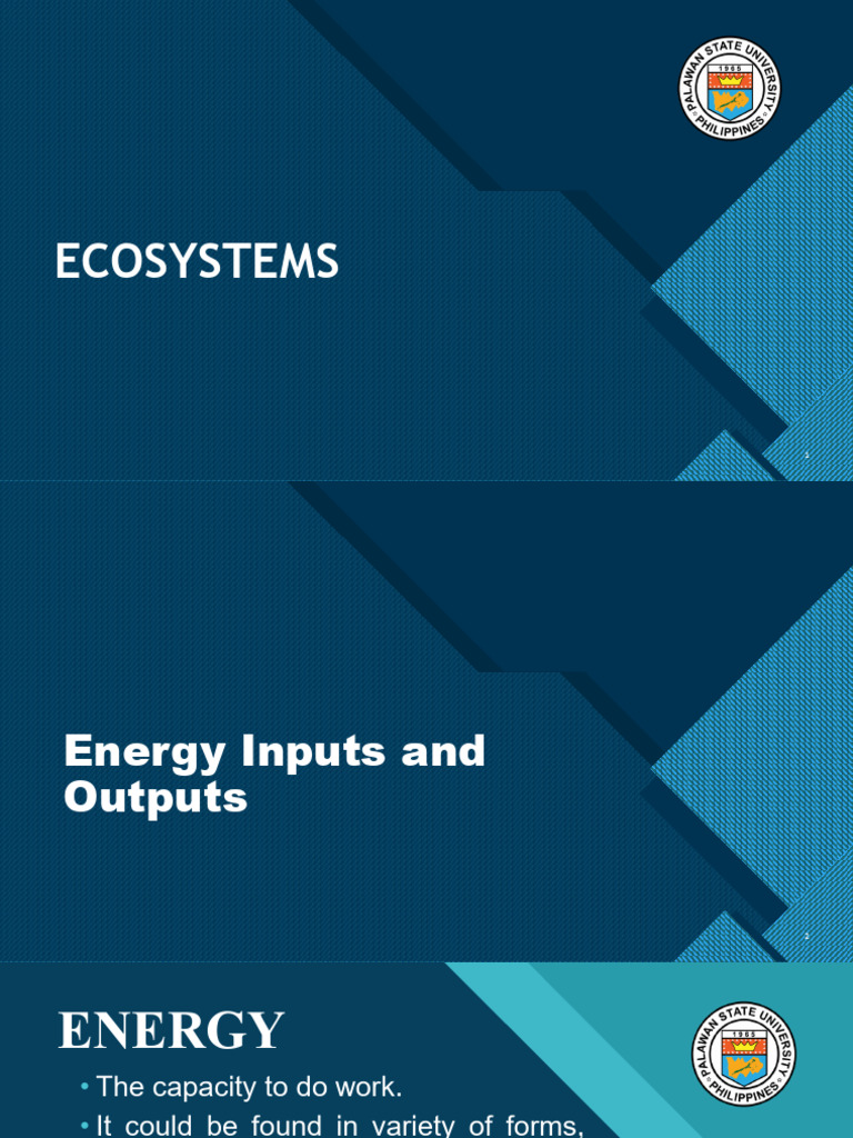 Ecosystems Energy Inputs and Outputs | PDF