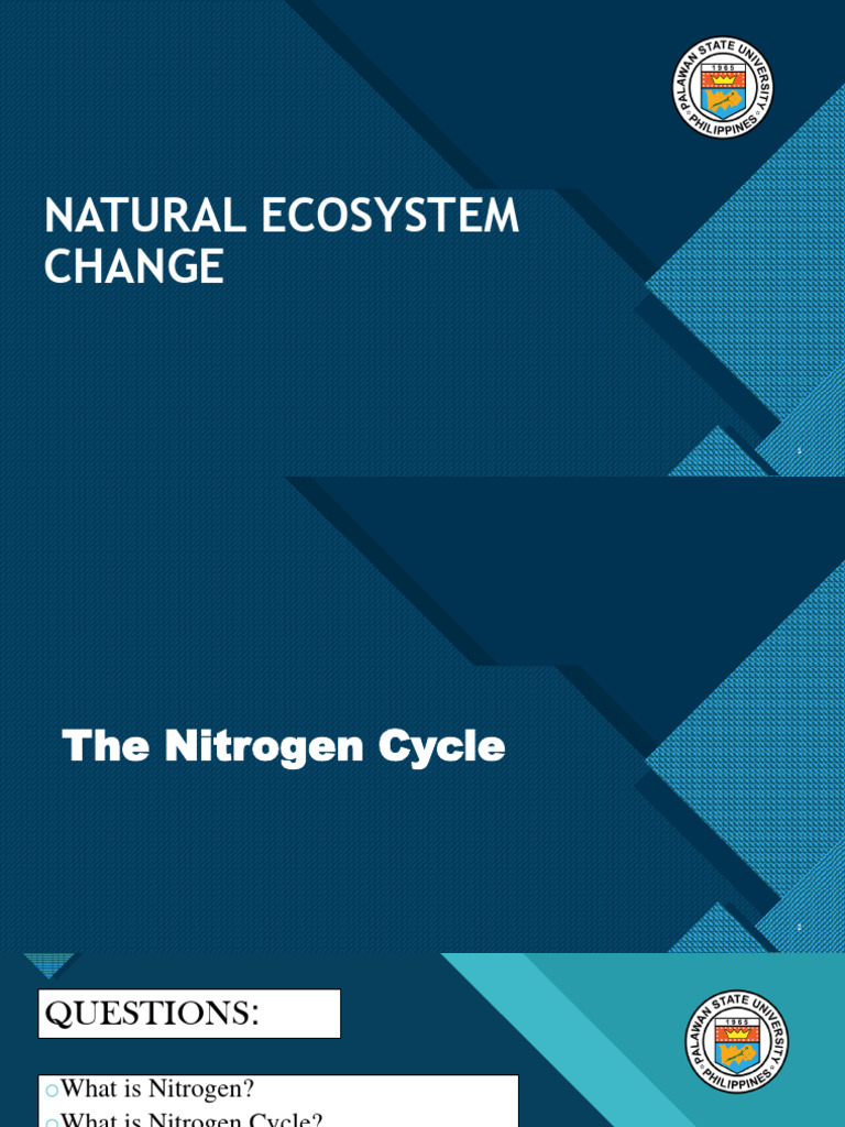 Ecosystem Change The Nitrogen Cycle PDF | Download Free PDF | Nitrogen | Atoms