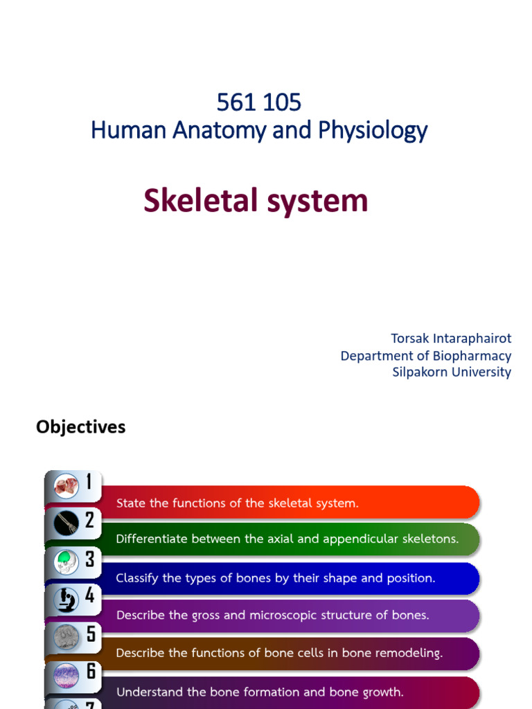 5 Skeletal System 2020 Handout | PDF