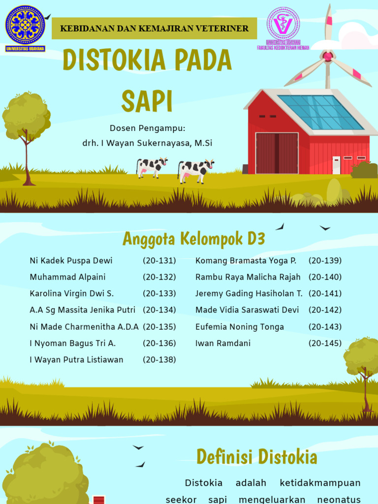 Tugas PPT Kebidanan Dan Kemajiran (Distokia) - Kelompok d3 | PDF