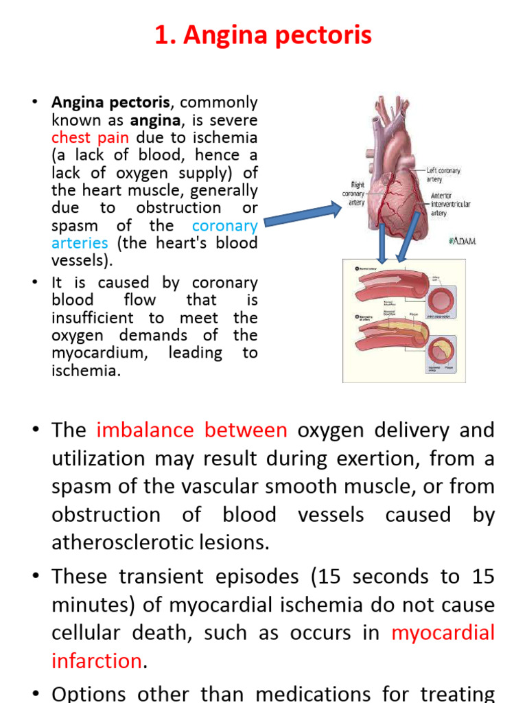 Anti anginal drugs | PDF | Coronary Artery Disease | Ischemia