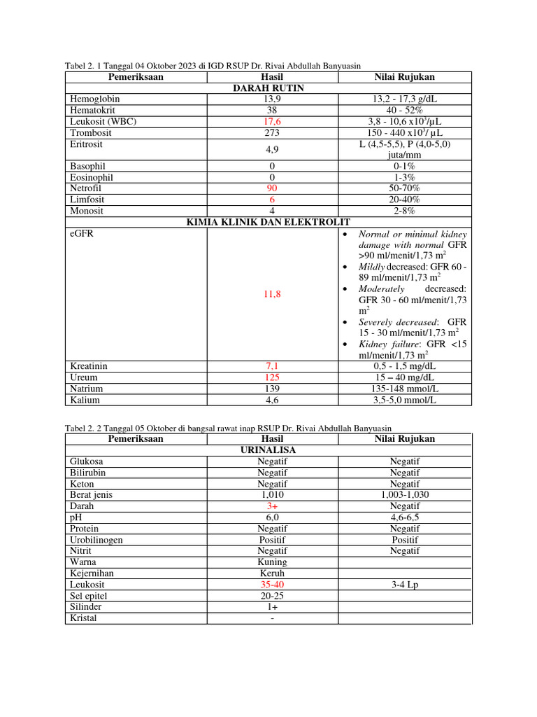 Pemeriksaan Hasil Nilai Rujukan Darah Rutin: Tabel 2. 1 Tanggal 04 ...