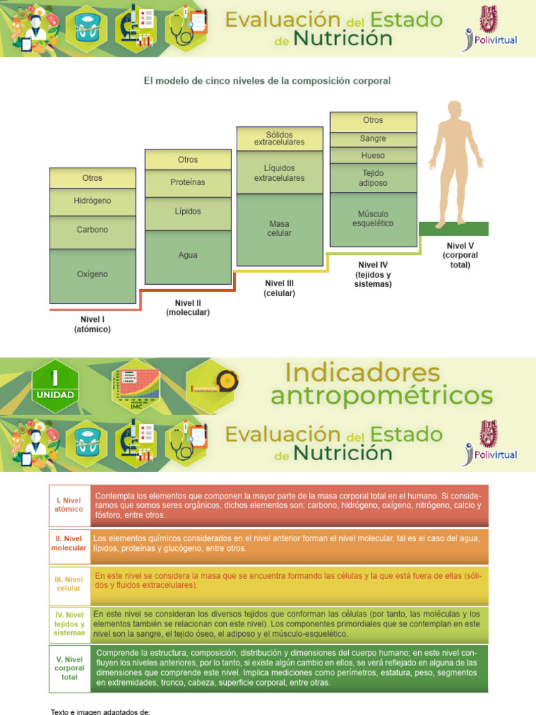 Evaluacion Del Estado Nutricional | PDF