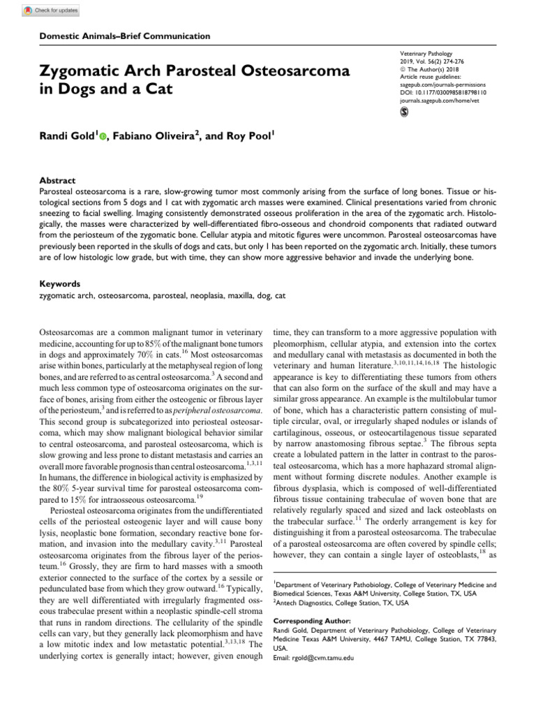 Zygomatic Arch Parosteal Osteosarcoma in Dogs and A Cat | PDF | Bone ...