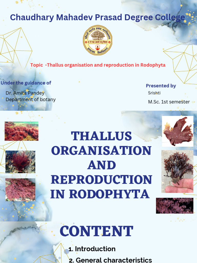 Rhodophyta | PDF | Sexual Reproduction | Spore