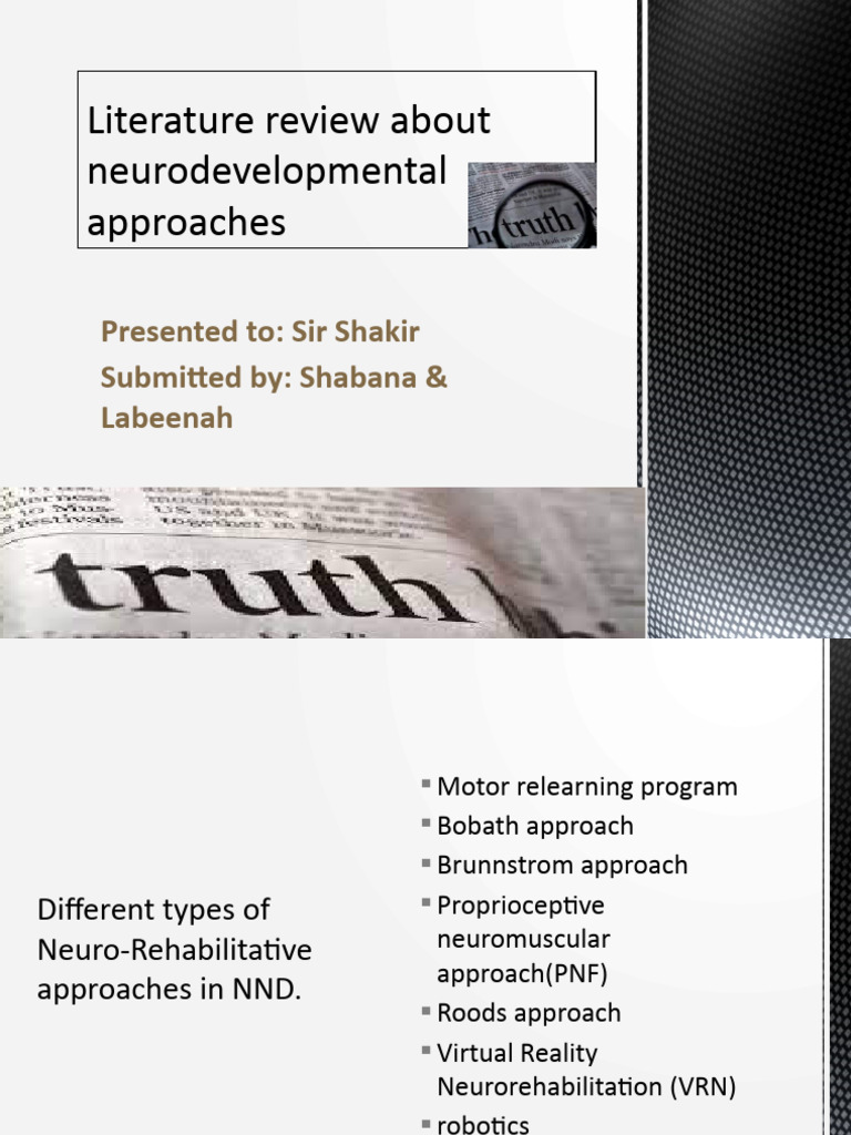 55.literature Review About Neurodevelopmental Approaches-1 | PDF ...