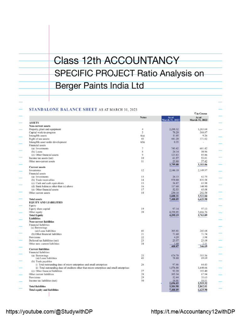 Class 12th Accountancy Specific Project Ratio Analysis On Berger | PDF
