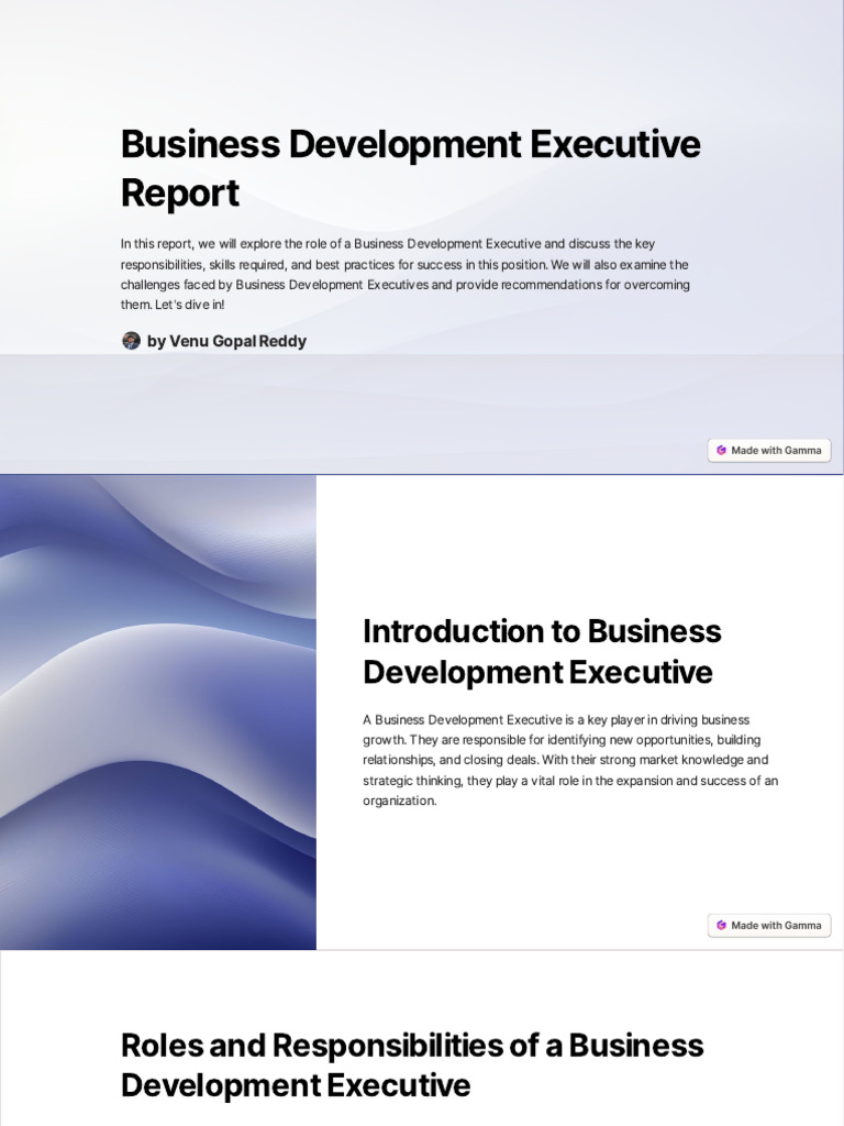 Business Development Executive Report | PDF