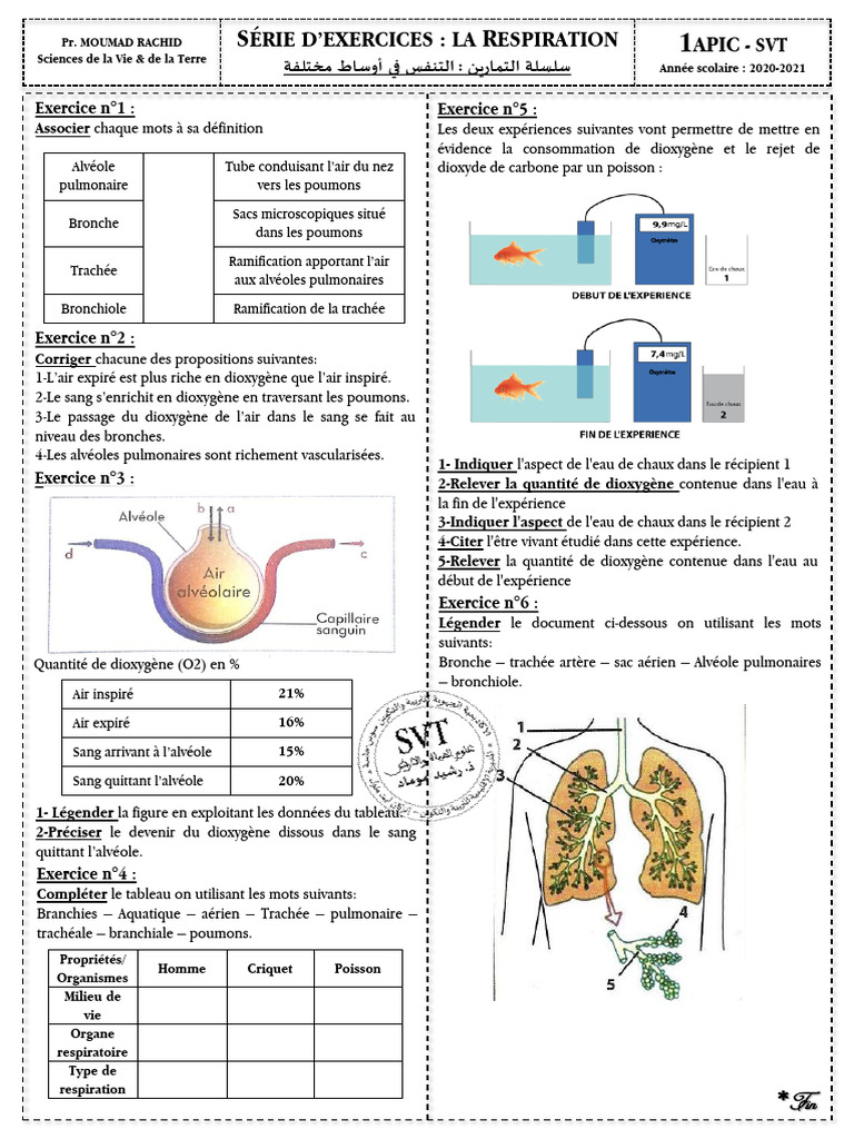 Exercices sur la respiration en SVT | PDF | Système respiratoire | Poumon