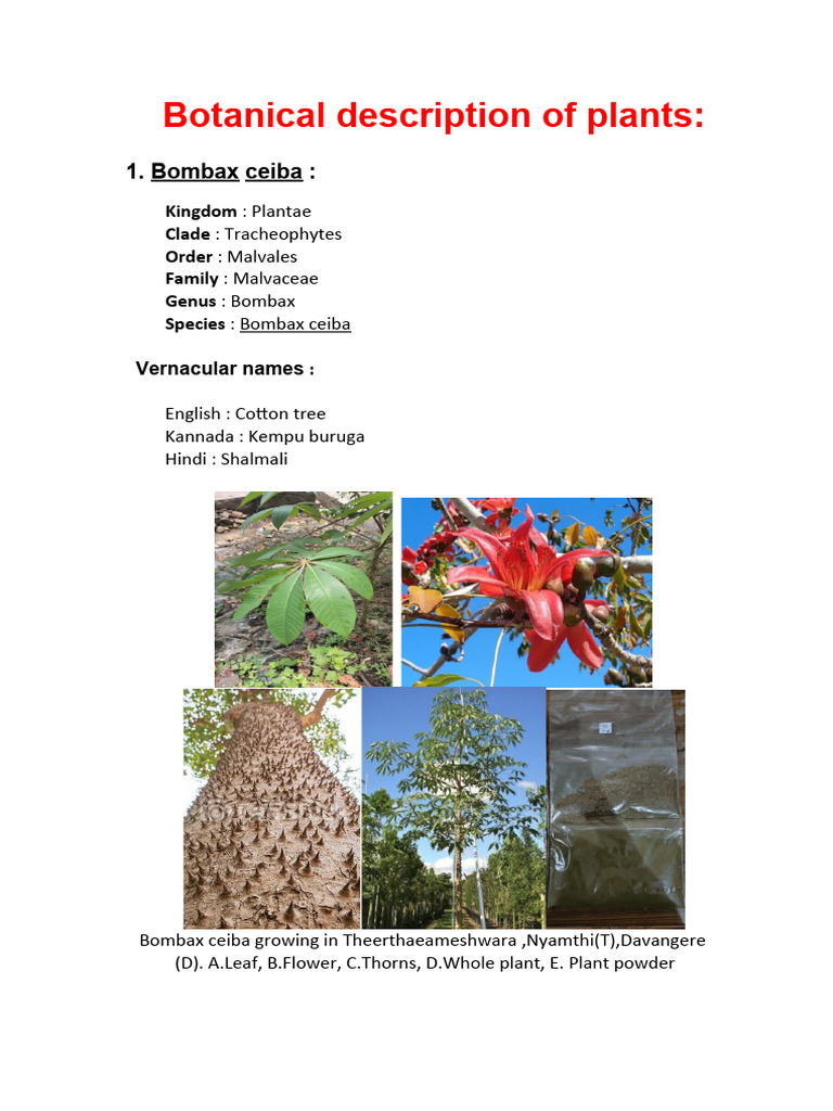 Subbu | PDF | Botany | Plants
