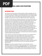 Proper Ways of Cultivation | PDF