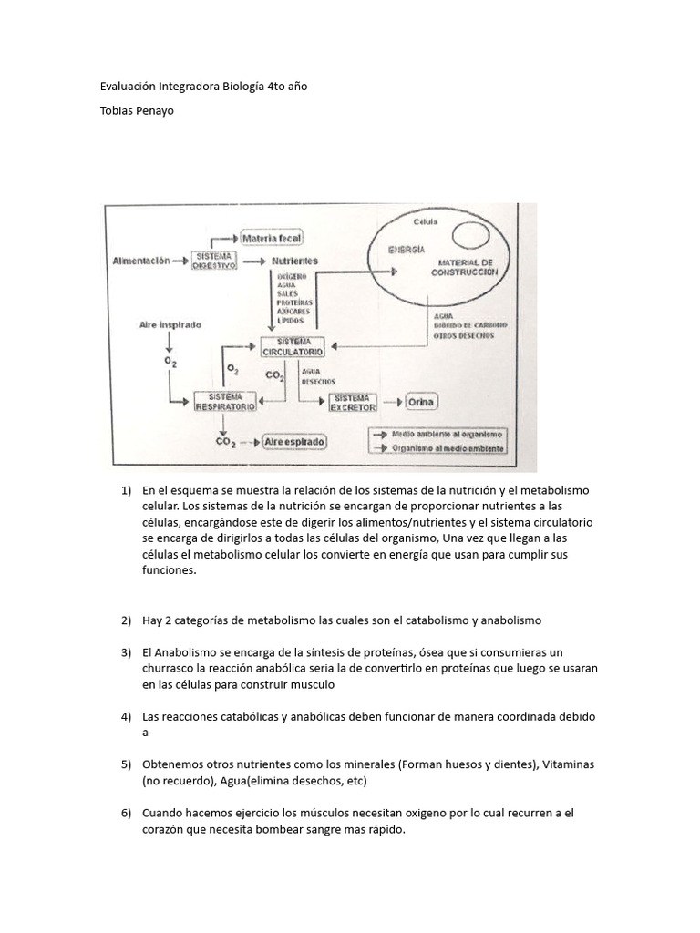 Evaluacion Integradora Biologia | PDF