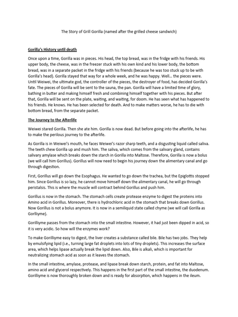 The Story of Grill Gorilla | Download Free PDF | Digestion | Stomach The Story of Grill Gorilla | Download Free PDF | Digestion | Stomach