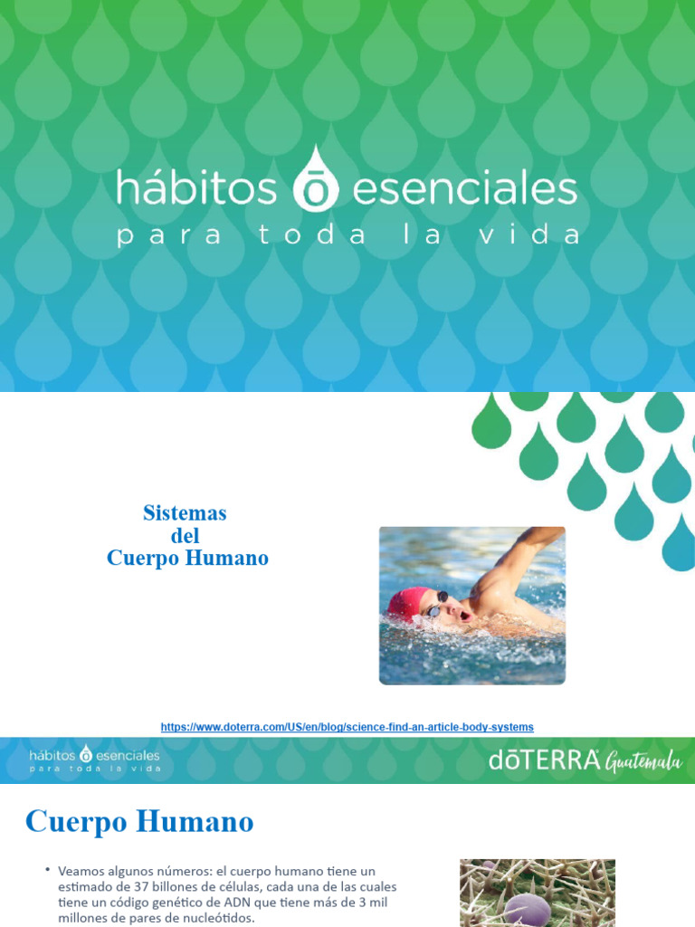 Habitos Esenciales Essential Habits | PDF | Adn | Digestión