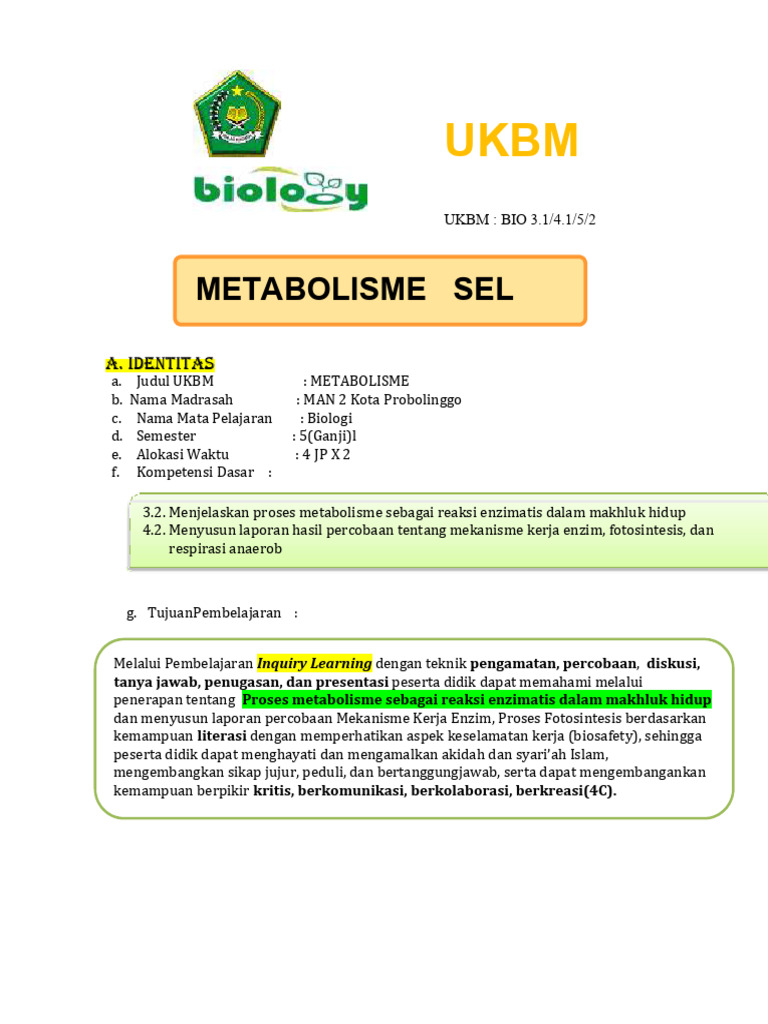 Ukbm 3.2.metabolisme Sel | PDF