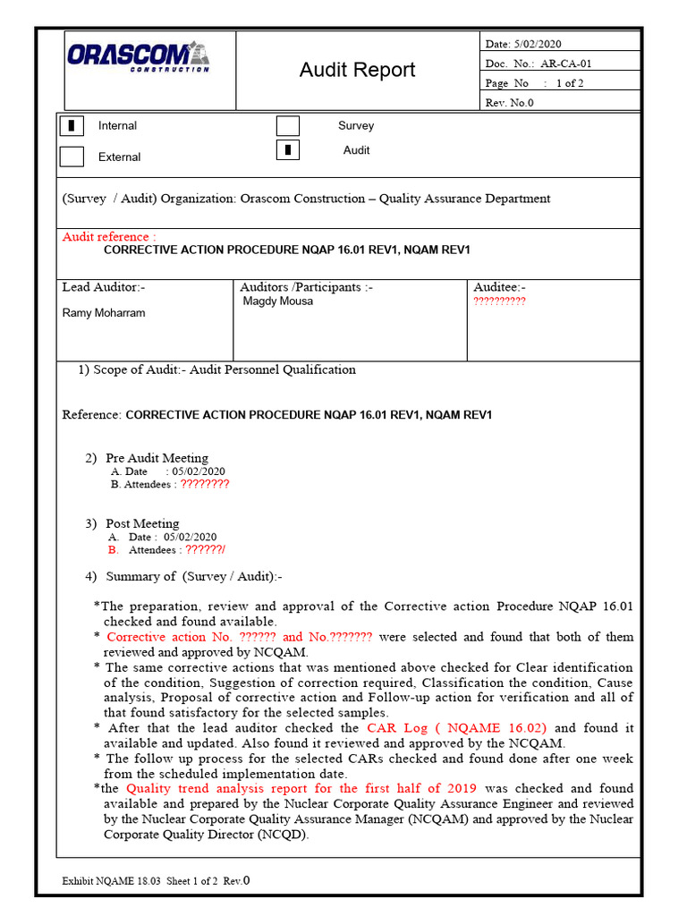 CA-01 Audit Report | PDF | Audit | Auditor's Report