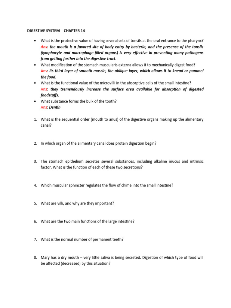 Digestive System - Test Questions | PDF