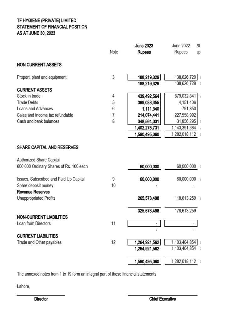 TF Hyg PVT LTD Accounts June 2023 Draft 3A (2) (Final Ready For ...