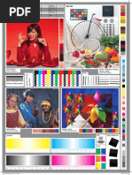 Print Test Pages | PDF | Color | Printer (Computing)