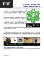 MX - Ficha Técnica - Termidor® Duo | PDF | Hexapoda | Insectos y humanos