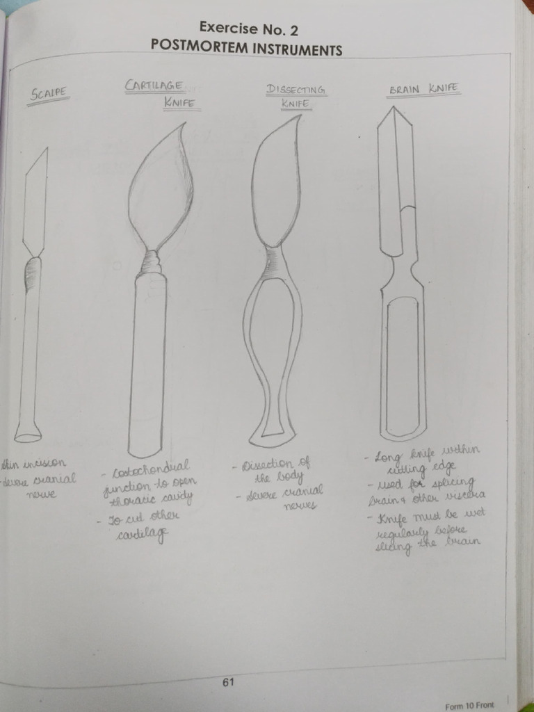Postmortem Instruments Drawing For Record Forensic Medicine | PDF
