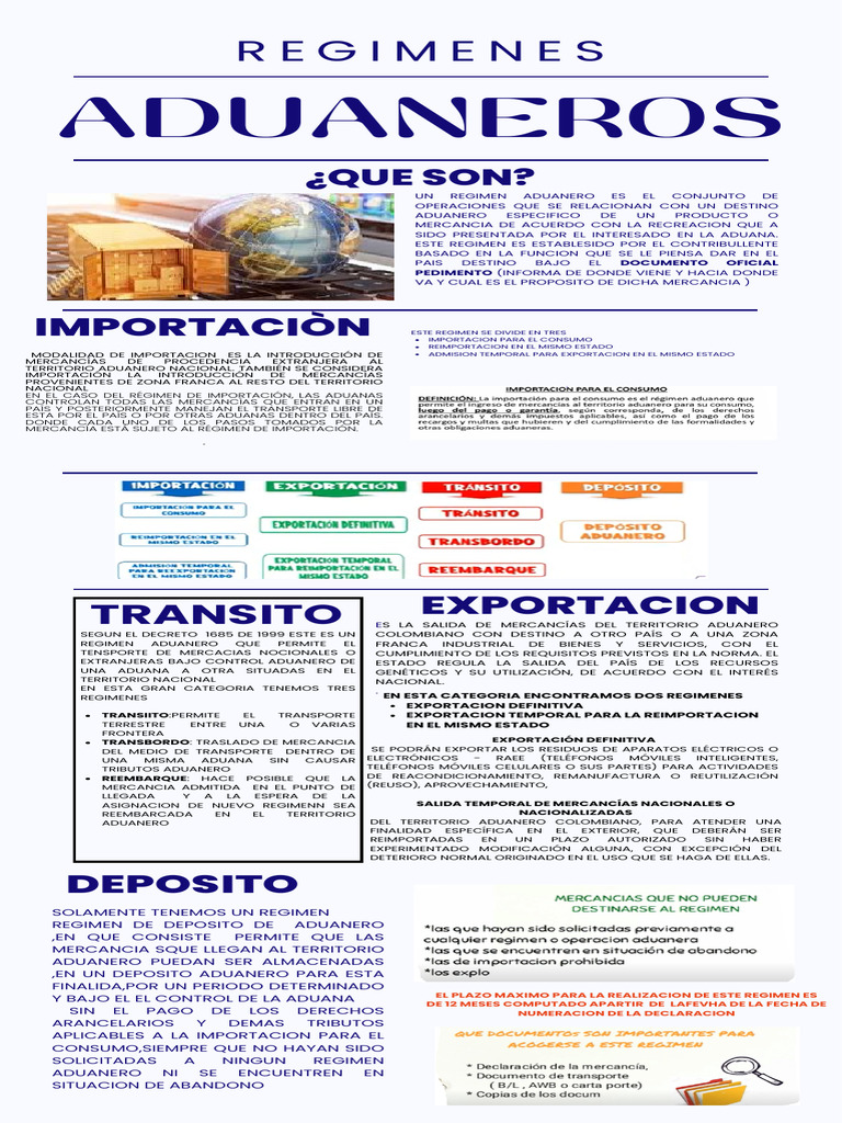 Infografia Regimenes Aduaneros Natalia Rodriguez Pinto | PDF | aduana | Economias