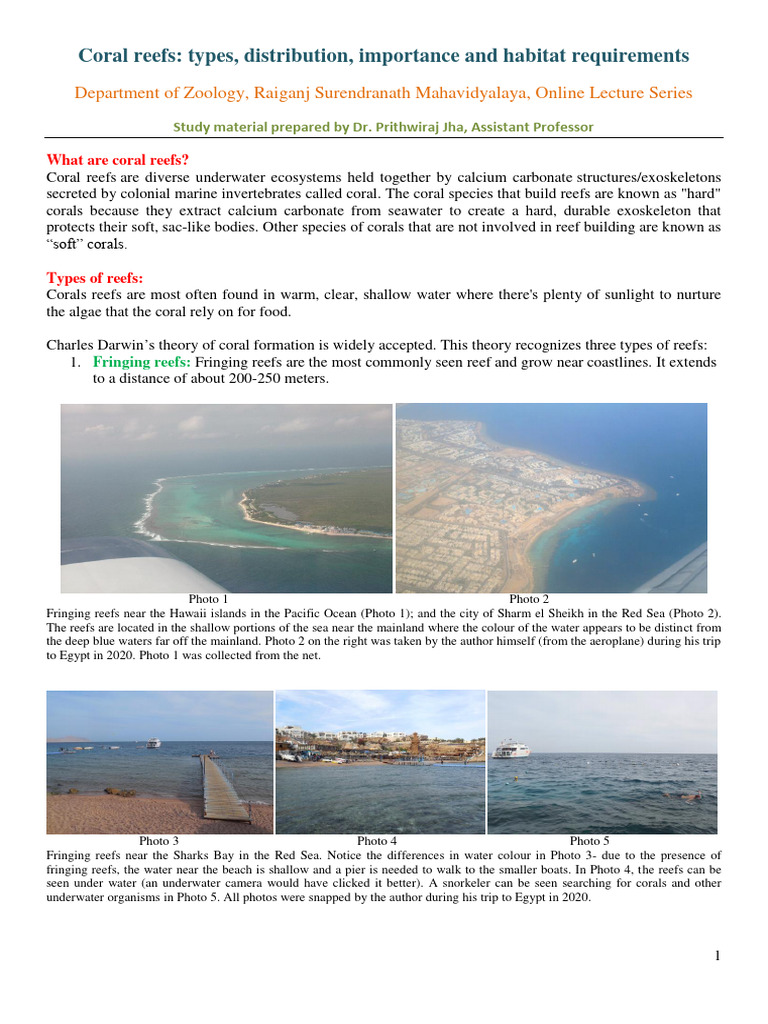 Coral Reefs | PDF