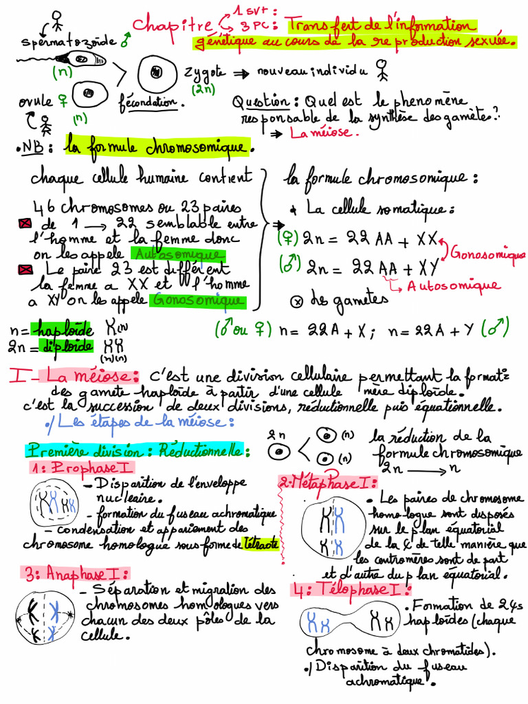 Chapitre 2 Unite 3 BLANC | PDF