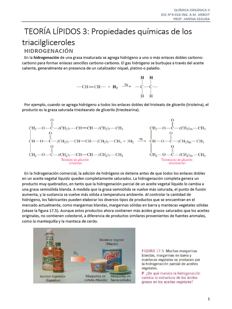 TEORÃ A LÃ PIDOS 3 Prop Acilgliceroles | PDF | gordo | Aceite vegetal