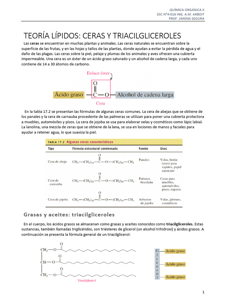 TEORÃ A LÃ PIDOS 2 Ceras y Acilgliceroles | PDF | Triglicéridos | gordo