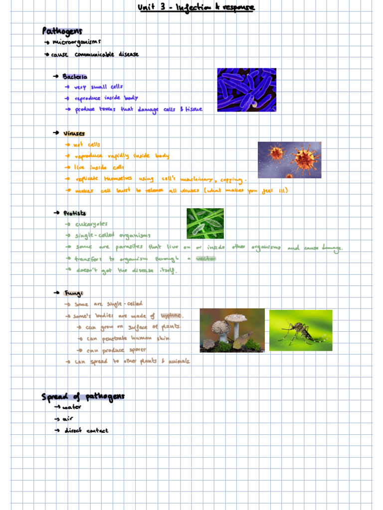 GCSE Biology Unit 3 - Infection and Response | PDF