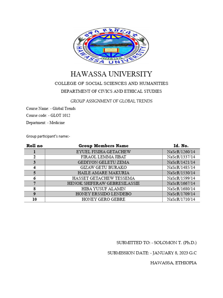 Final Assignment | PDF