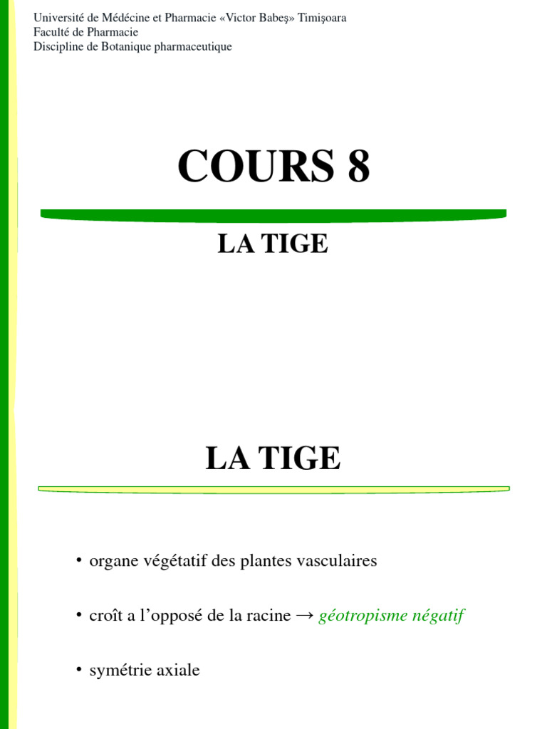 Cours de Botanique : La Tige 8ème | PDF | Tige (Plante) | Feuille