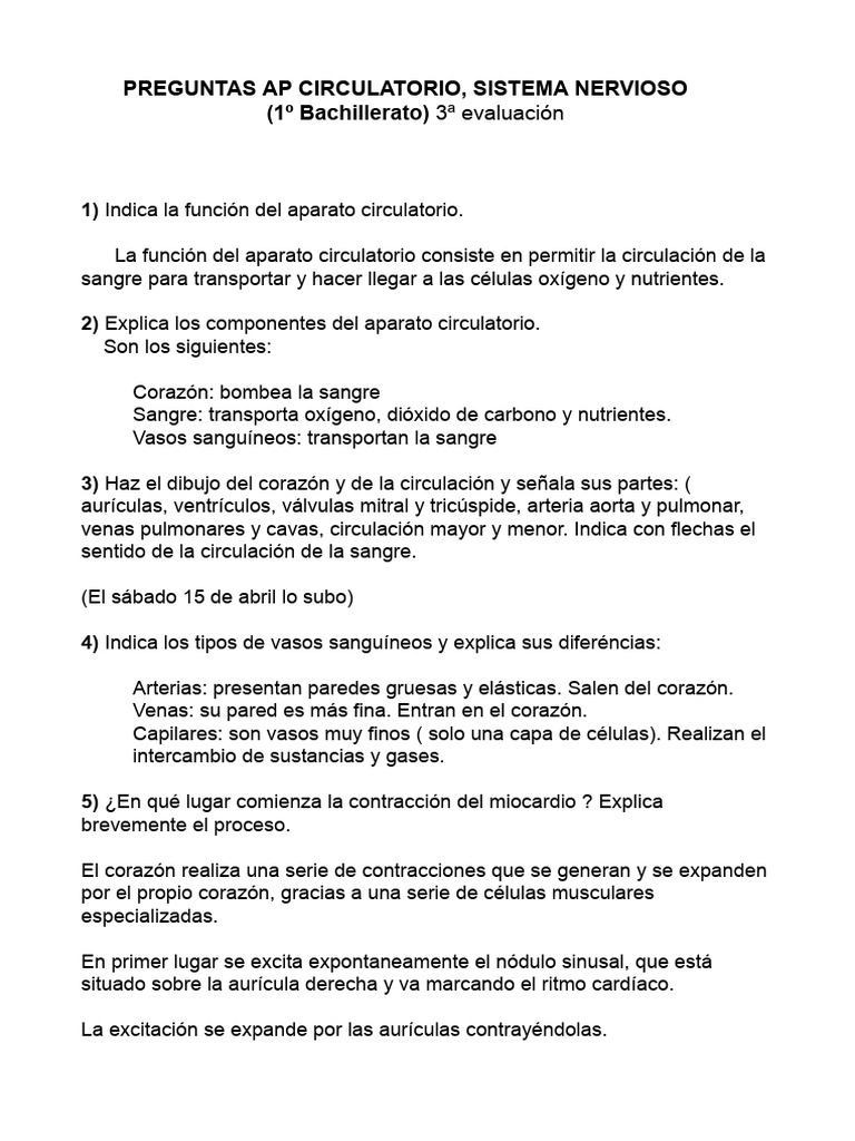 Preguntas y Respuestas Del Aparato Circulatorio | PDF