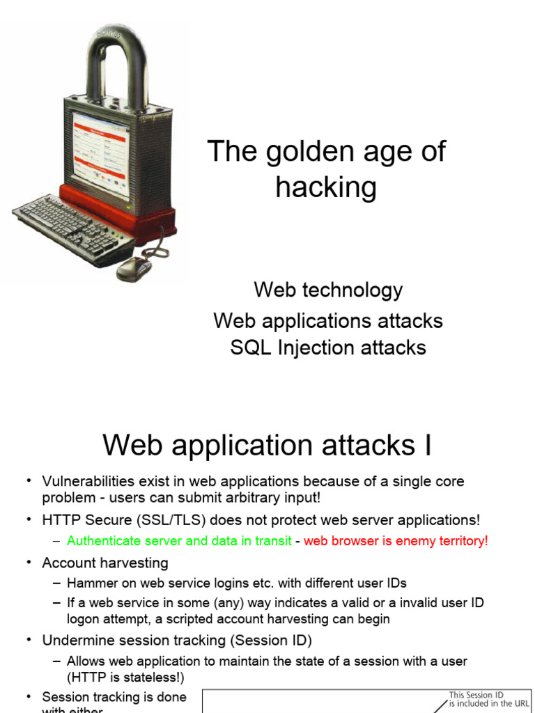 EHP 10 - Web Attacks | PDF
