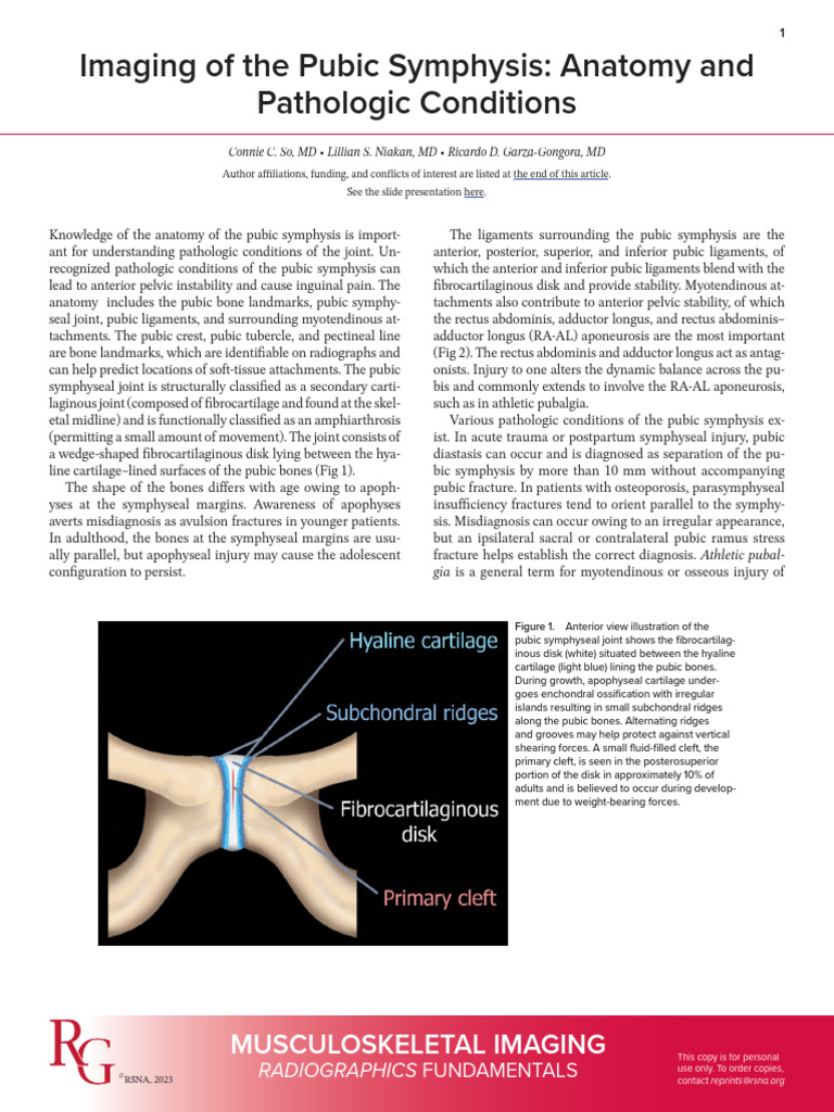 Radiologists' Guide to Pubic Symphysis | PDF | Pelvis | Musculoskeletal ...