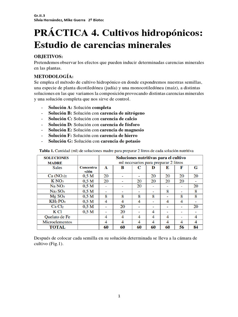 INFORME Pract. 4 Silvia y Mike | PDF