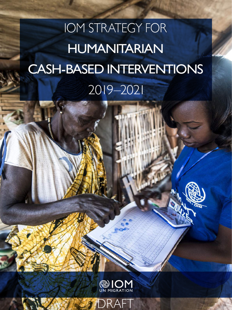 CBI Strategy - V6-Compressed | PDF | Aids | Humanitarian Aid