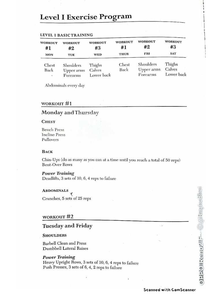 The Basis Training Program | PDF