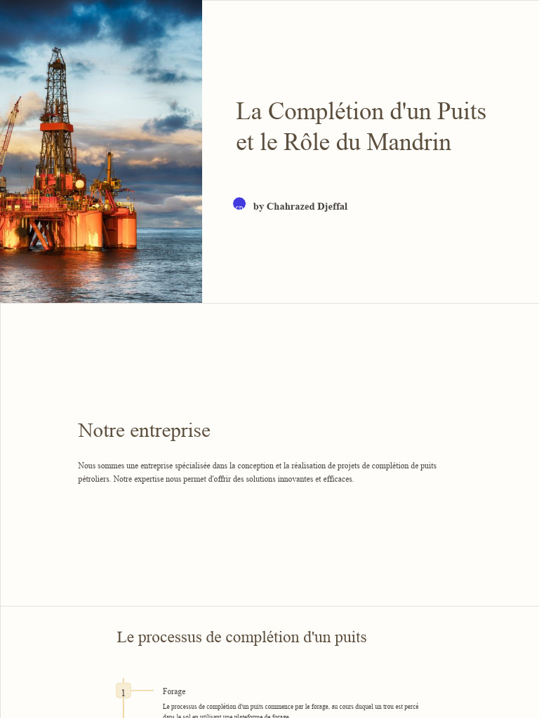 Complétion d'un Puits de Pétrole et Mandrin | PDF | Pétrole | Industrie ...