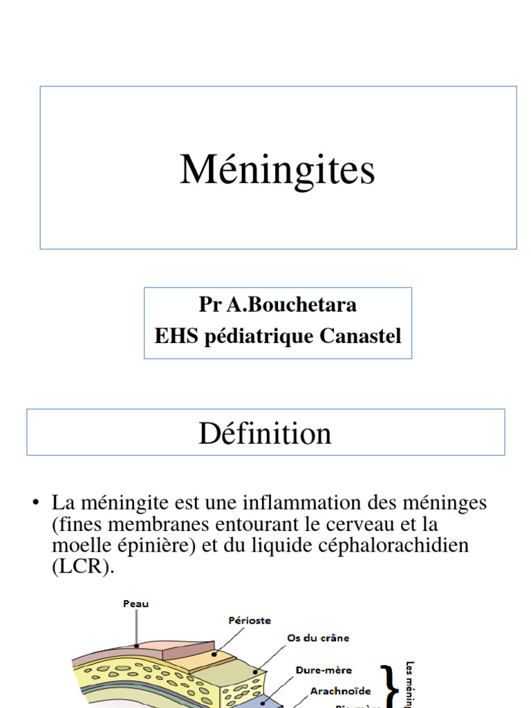 Mening | PDF