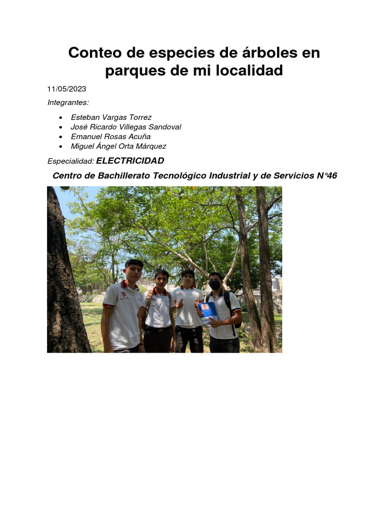 Documento 7 | PDF