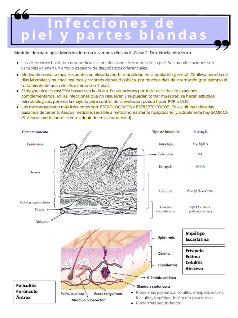 Piodermitis Dermato Clase 2 | PDF