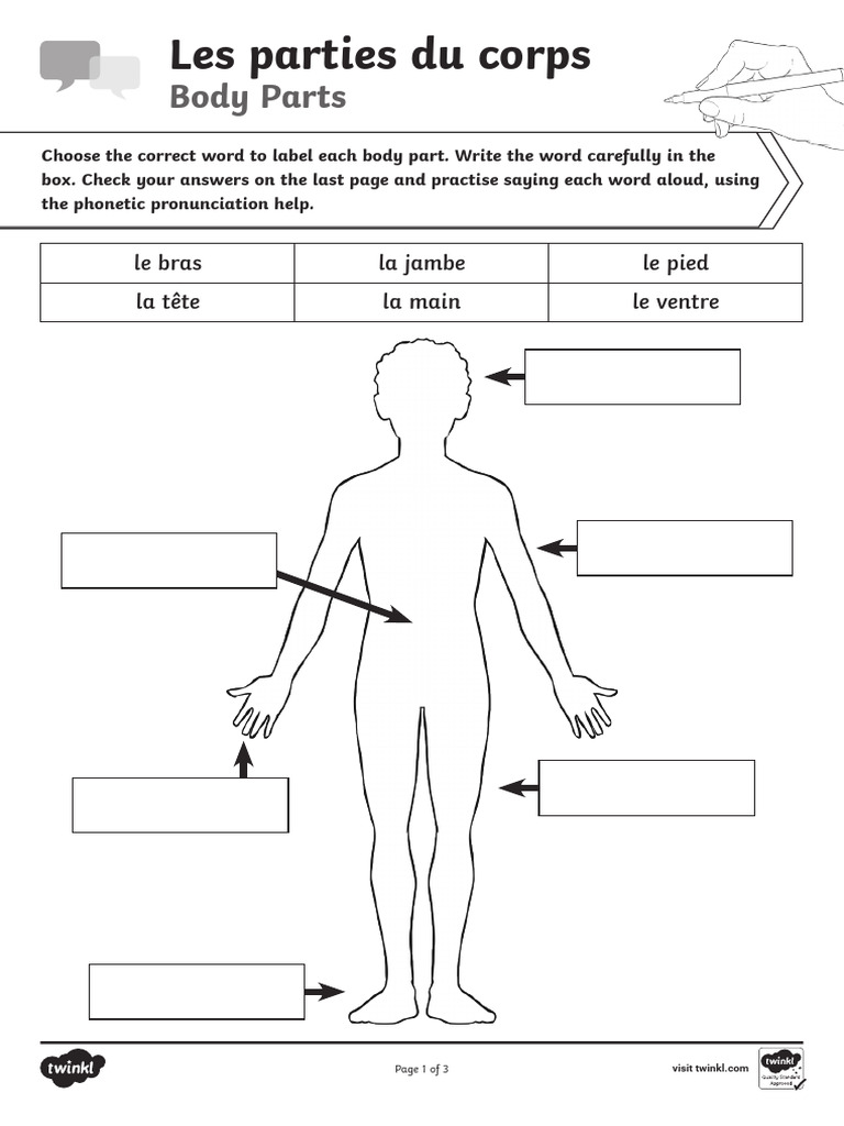 French Body Parts Labeling Worksheet | PDF