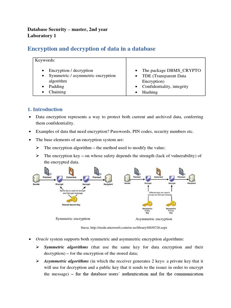 Lab1 DBSecurity | PDF