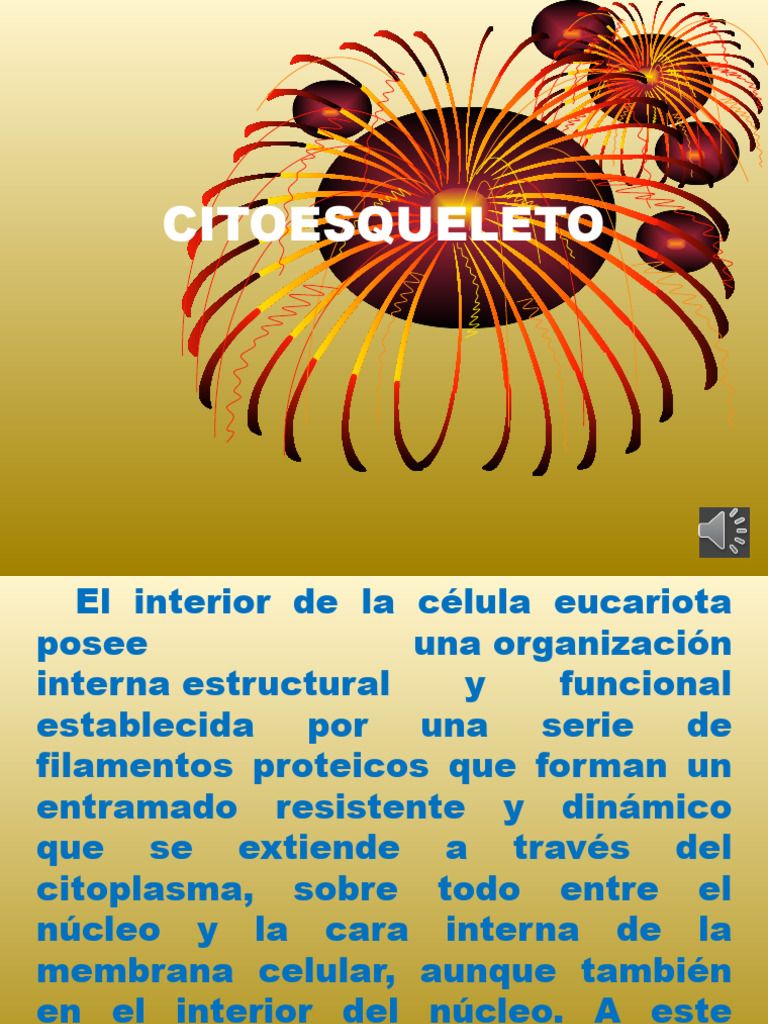 Citoesqueleto 2023 | PDF | Microtúbulos | Citoesqueleto