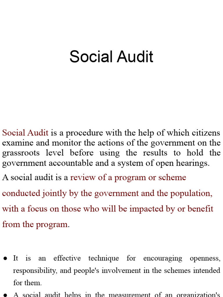 Social Audit | PDF